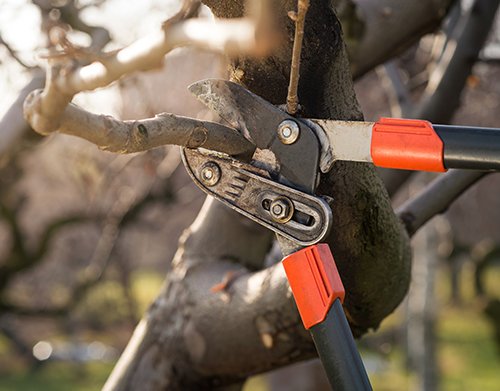 Asphalt Service , Tree Service | Wytheville, VA | Superior Asphalt ...