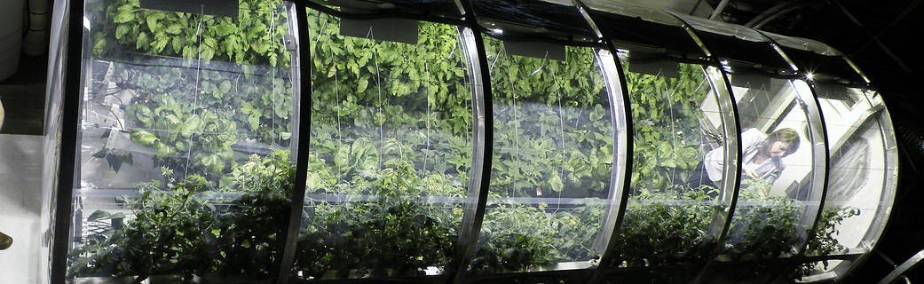 Rotary Hydroponics