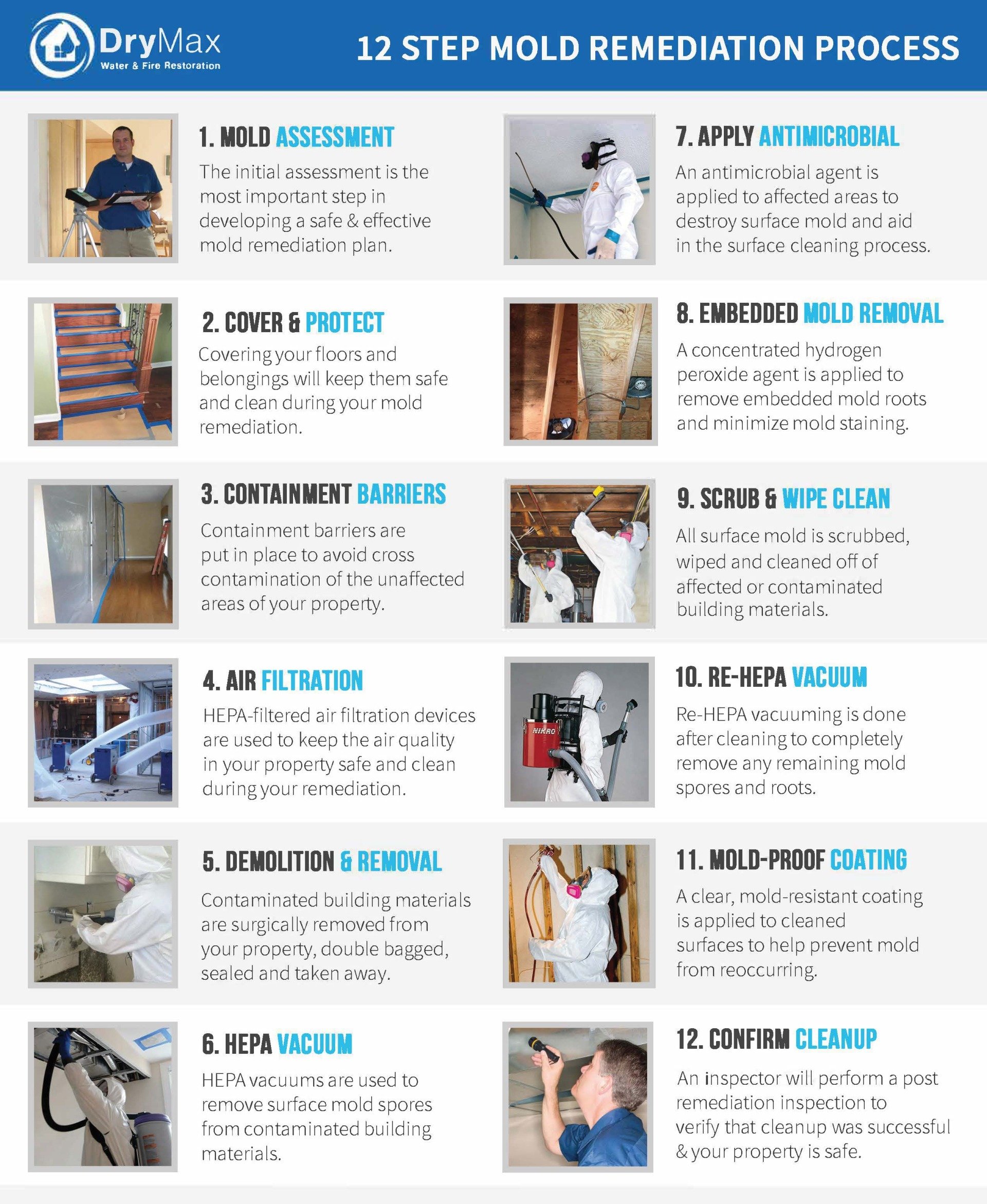 Mold Removal & Mold Inspection Alexandria LA | DryMax Mold