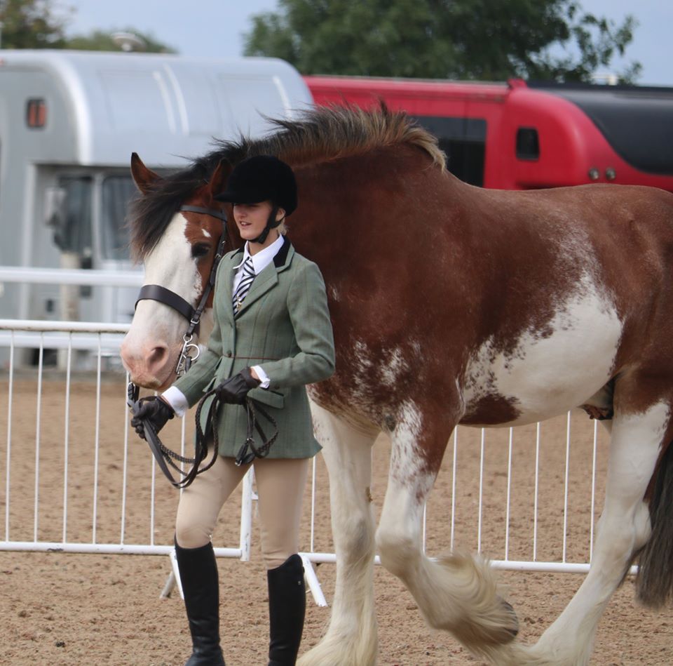 2020 FARMING & CLYDESDALES