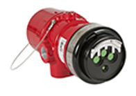 DET-TRONICS FIRE AND GAS DETECTION