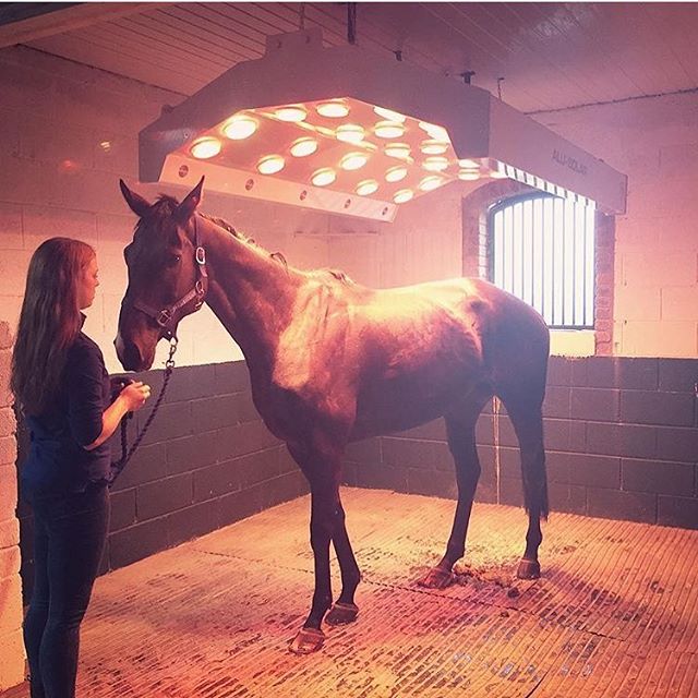 360Equine Horse Solariums Ireland and UK