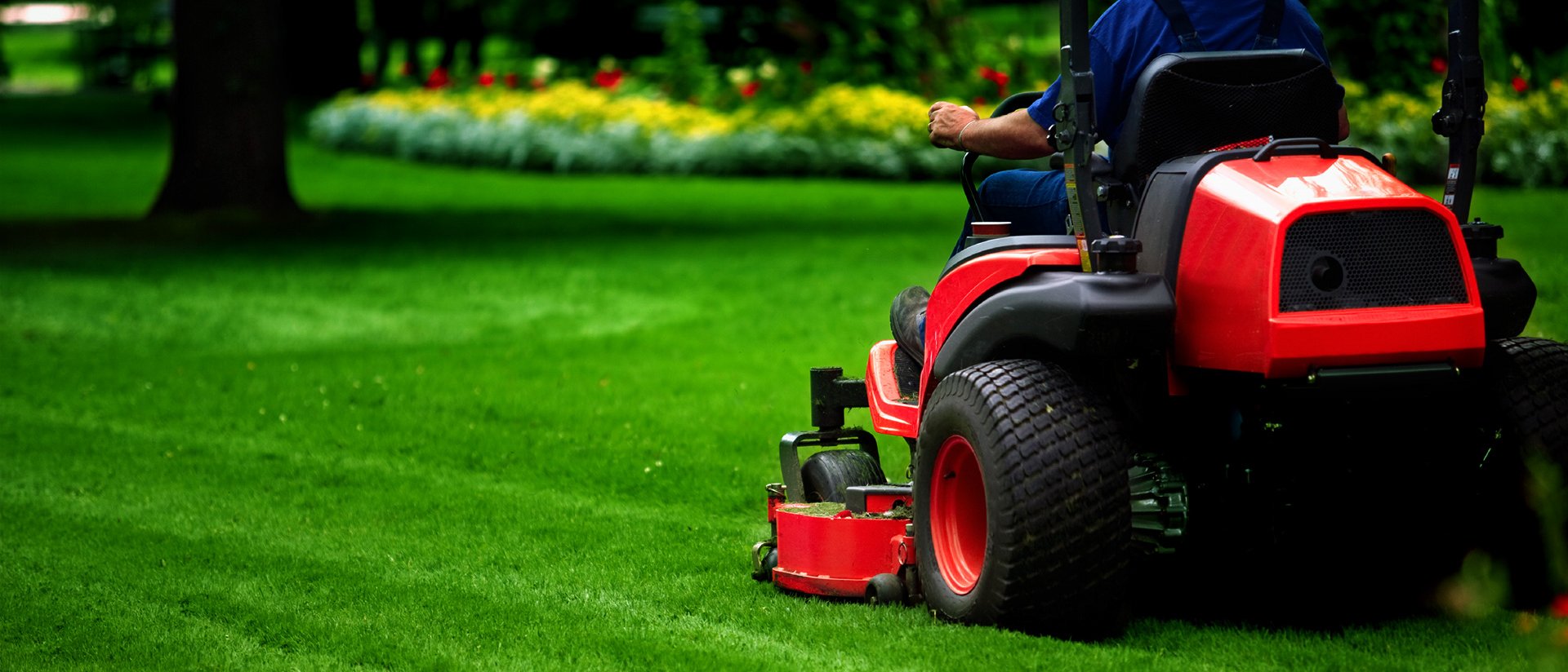 Lawn Care | Landscaping | Dreamscapes Landscapes