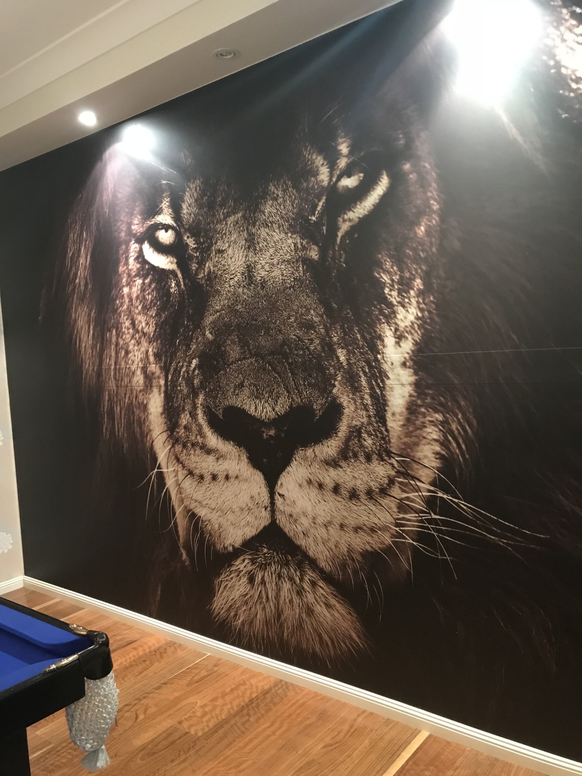 Cost-Effective Signs, Corporate Signs, Stickers | New Beith