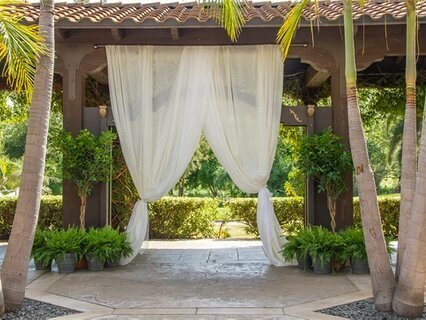 Best Tree Rentals & Potted Plants For Weddings in San Diego Area