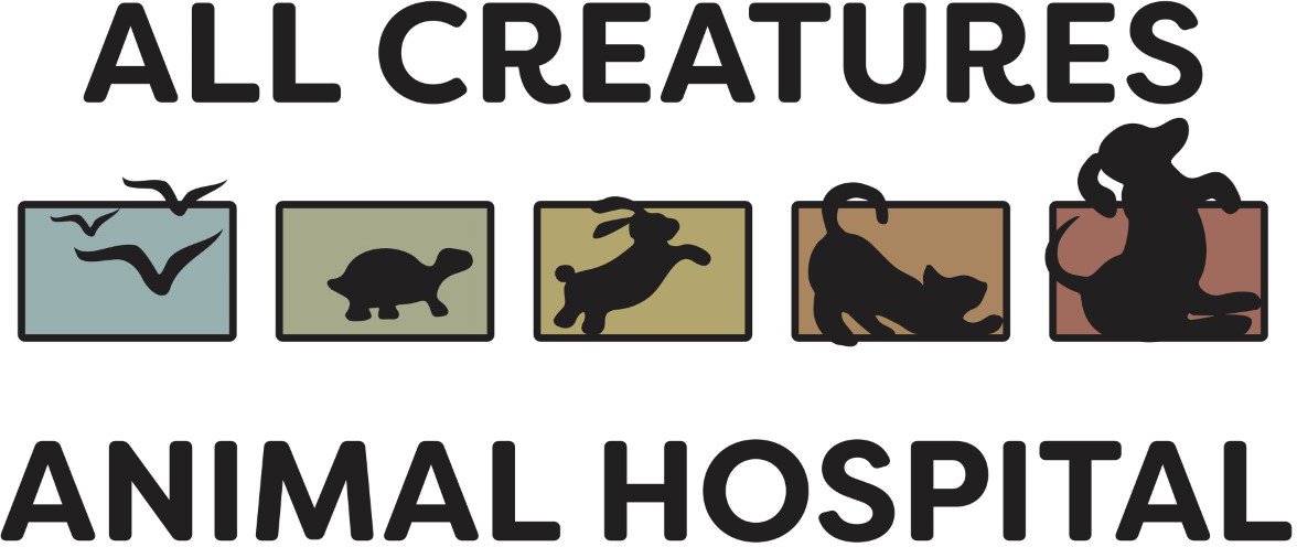 Pet Care Urbana | Pet Clinic | All Creatures Animal Hospital