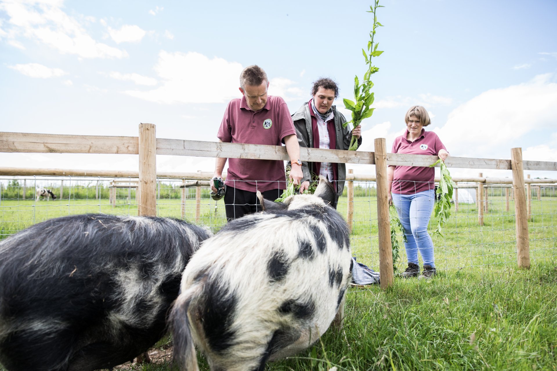 Wildgoose Rural Training & Nature Reserve | Worcester
