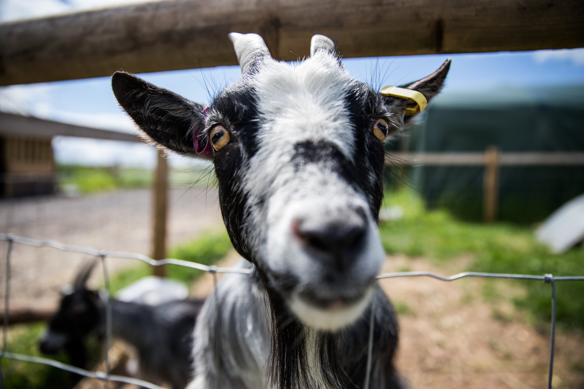 Wildgoose Rural Training & Nature Reserve | Worcester