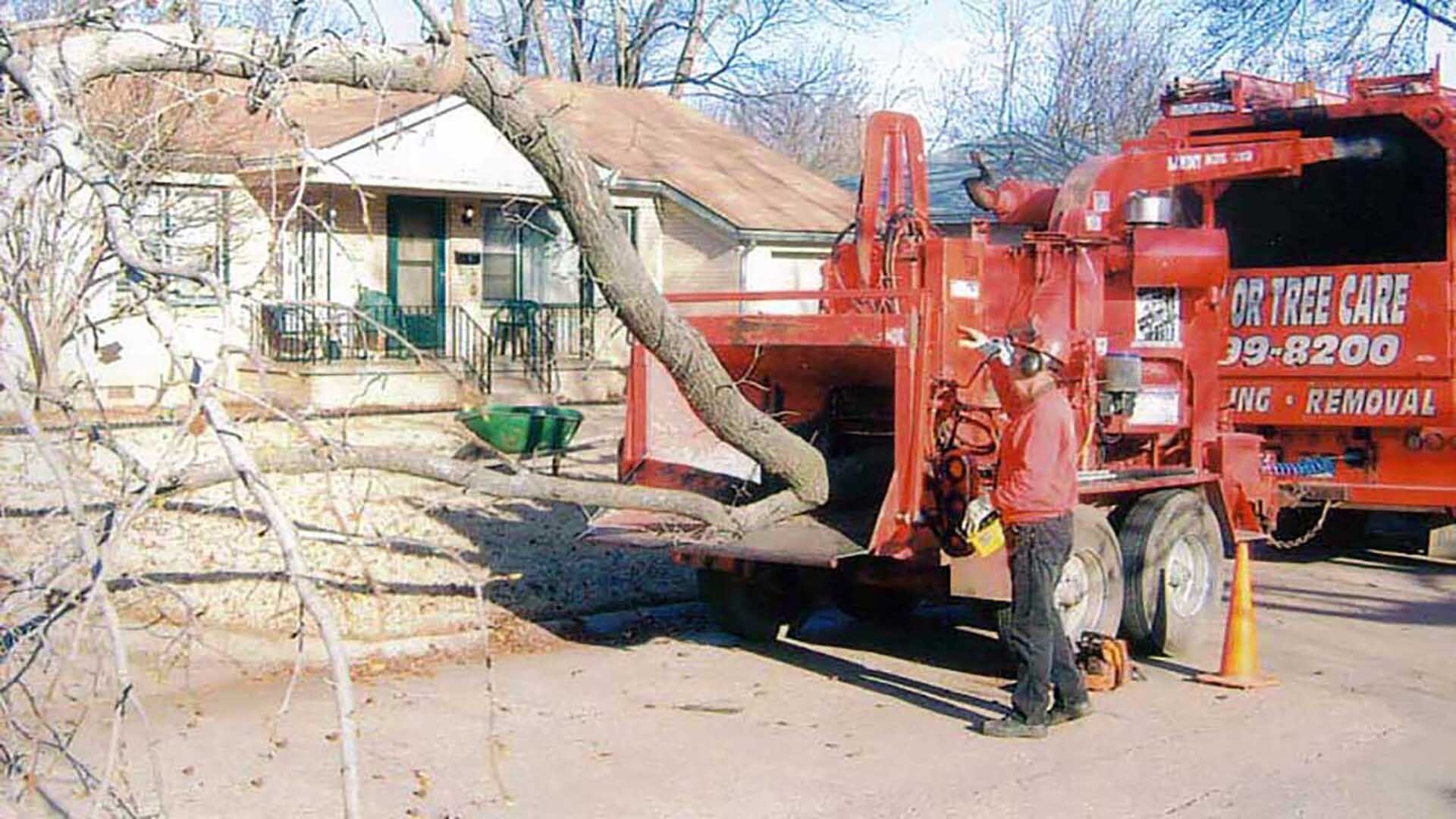 Tulsa Residential and Commercial Tree Service - Taylor Tree Care