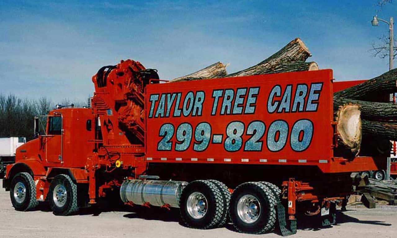 Tulsa Residential and Commercial Tree Service - Taylor Tree Care