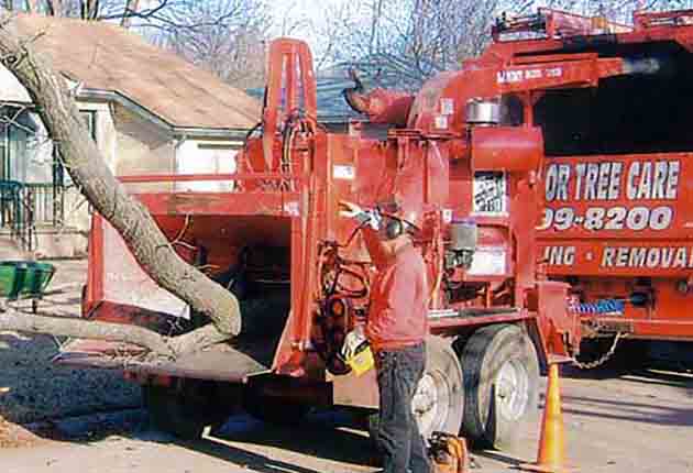 Our Equipment - Tree Trimming and Removal - Taylor Tree Care