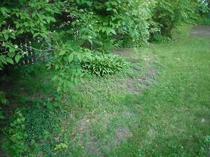 Landscaping Company, Lawn Services | PA