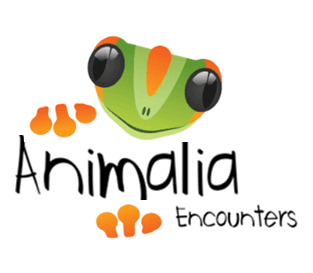 HOME [www.animaliaencounters.co.uk]