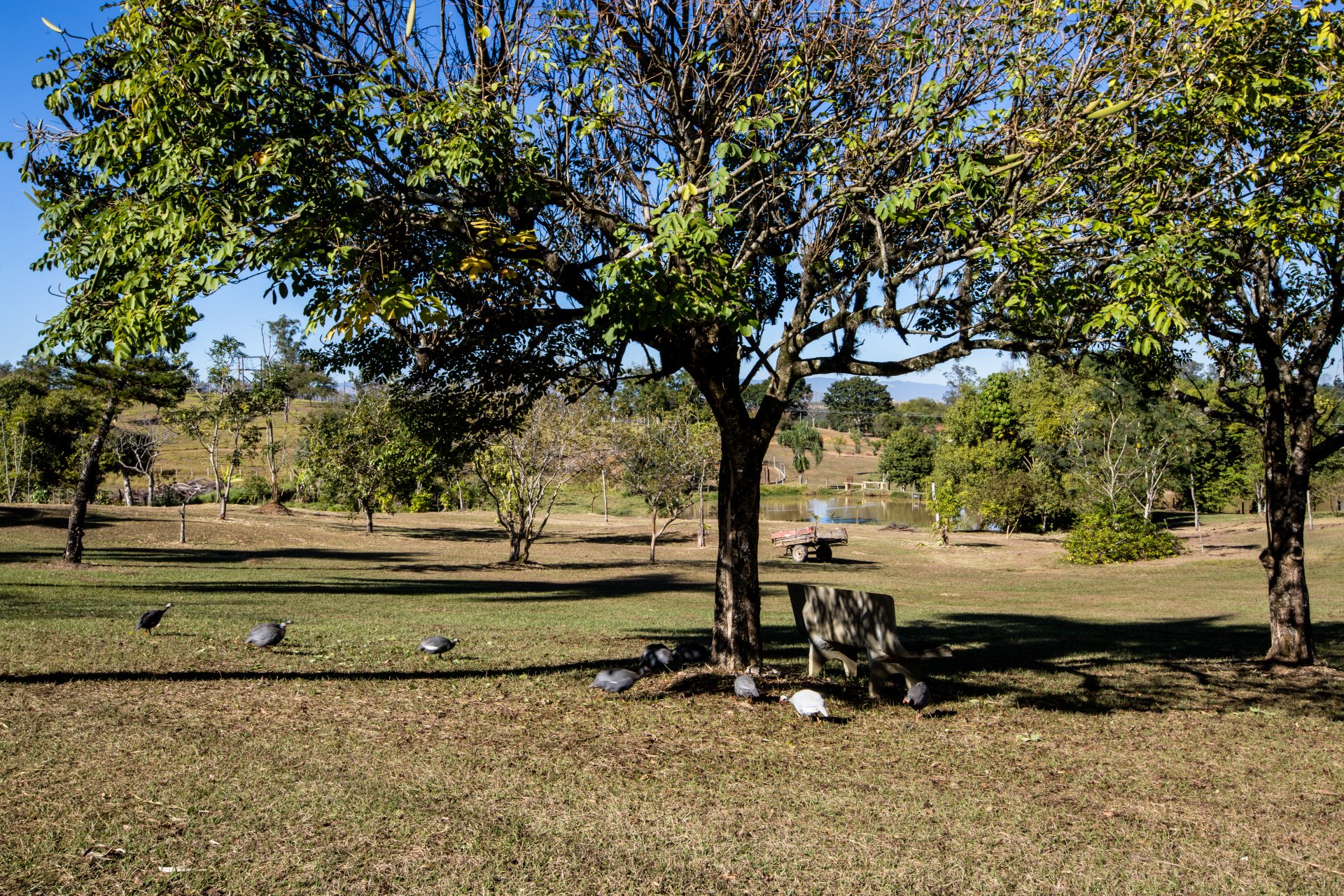 5 Curiosidades sobre a cidade de Guaratinguetá