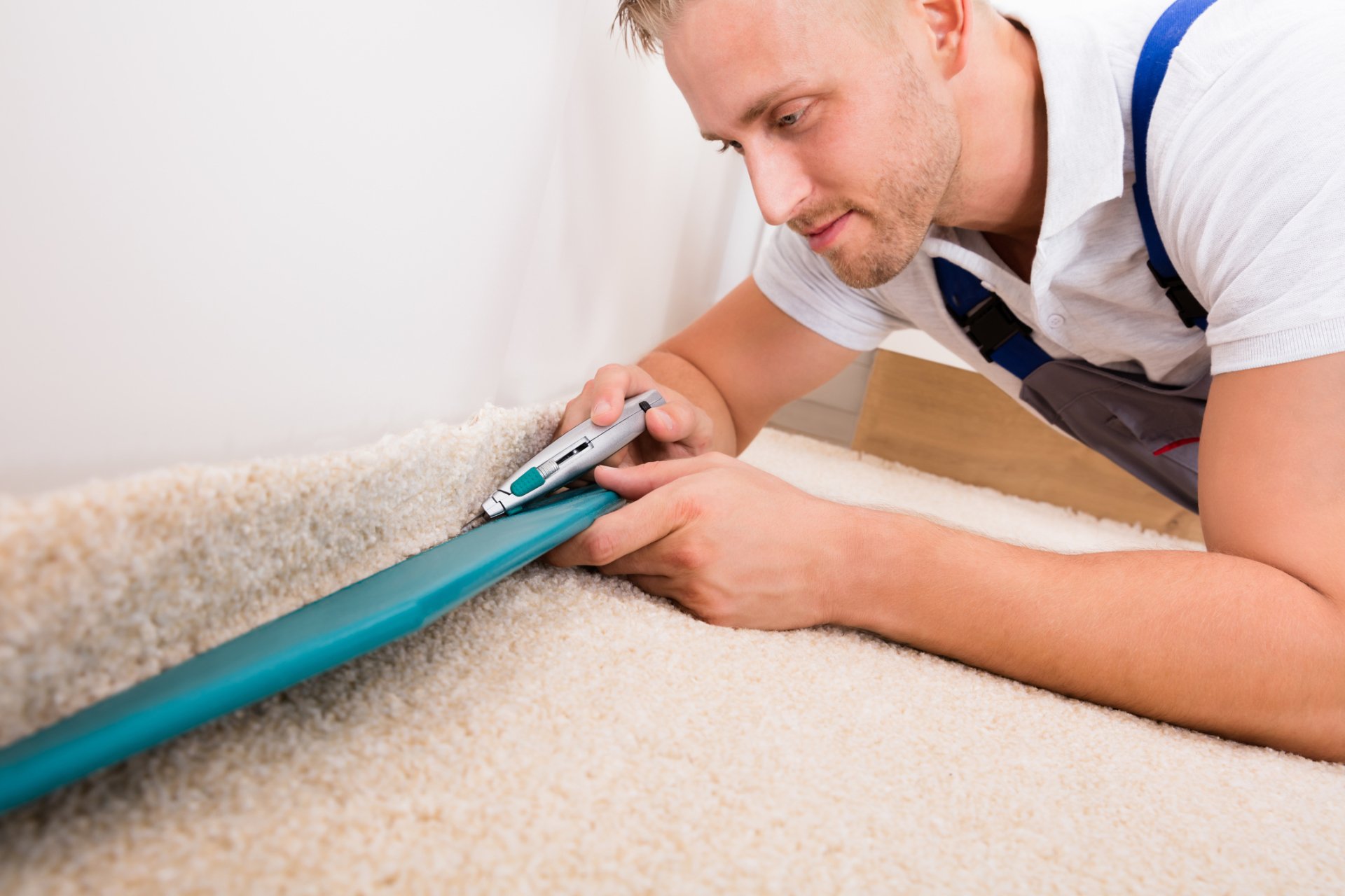 Carpets and Area Rugs | Hamburg, NY | Decorator Carpets Inc.