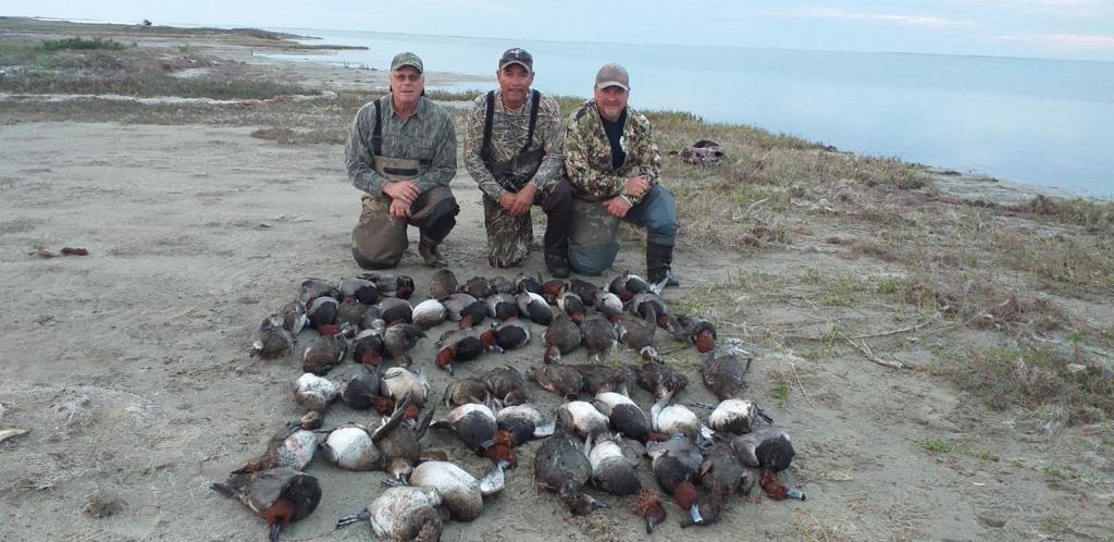 Mexico Dove Hunting Outfitter & Guided Hunts | Loma Colorada