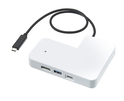 Nintendo Switch Developer Hardware