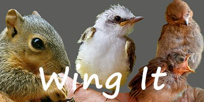 Tulsa Audubon Society