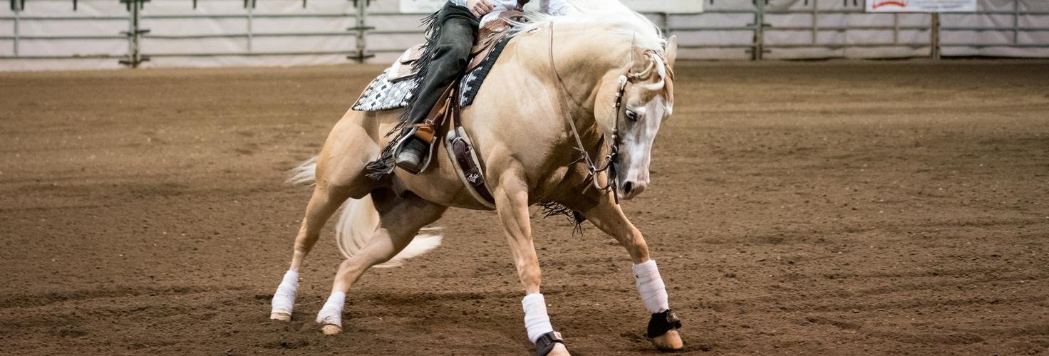ENM Donates to Reining Horse Competitions