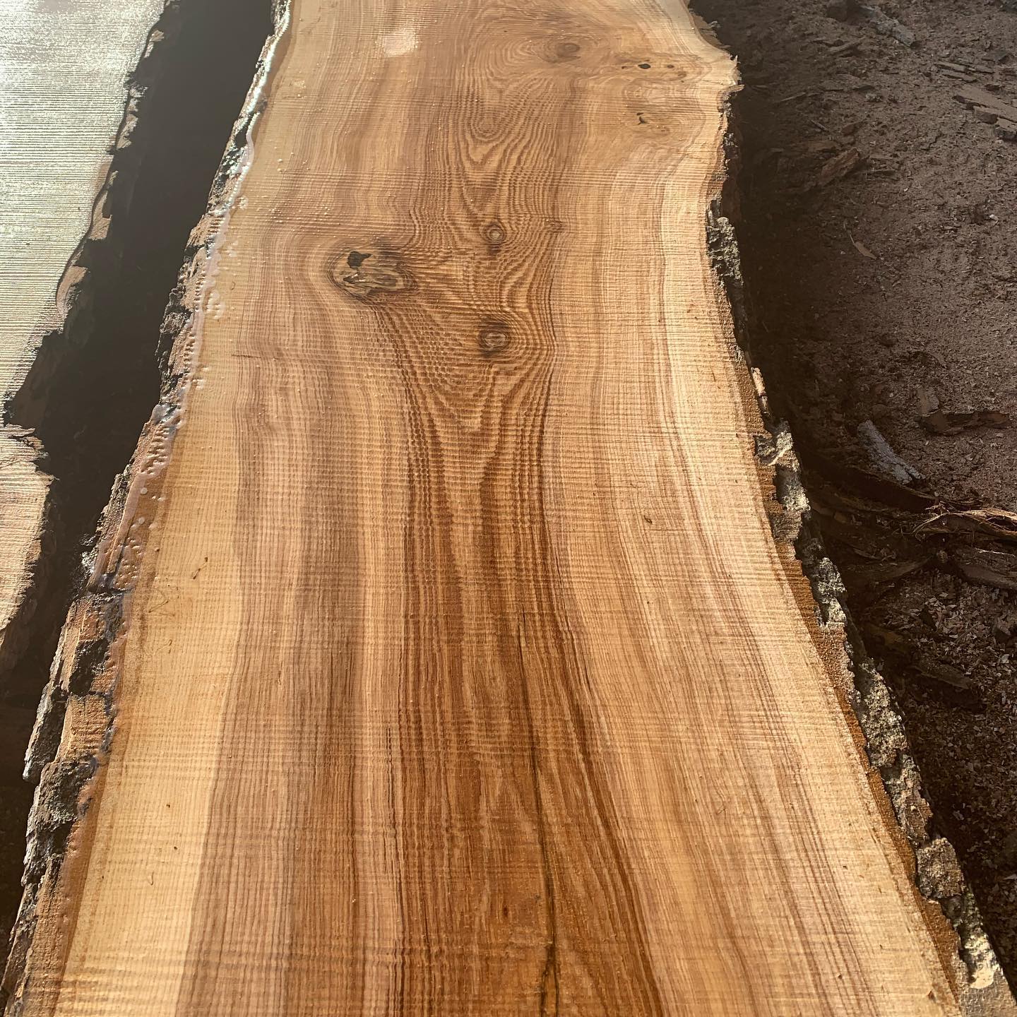 Wood Slabs Mandan, ND - Live Edge | 701 Sawmill