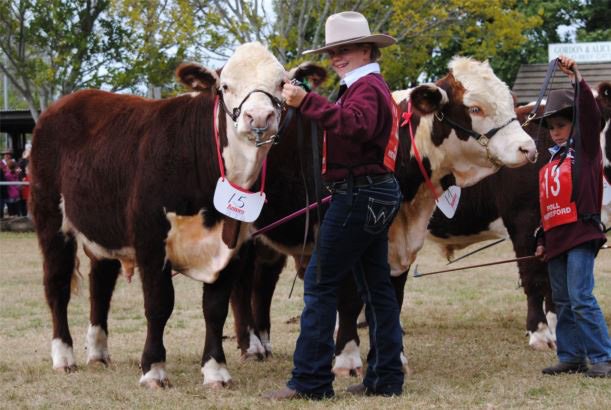 Gallery | Weetalabah Cattle Services