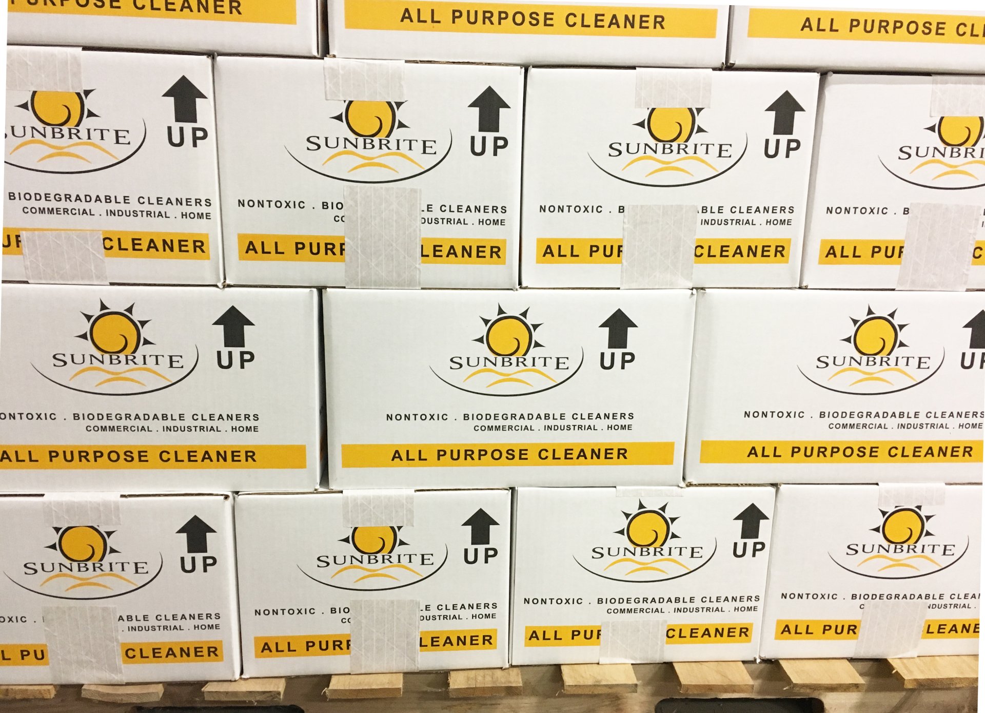 All-Purpose Concentrate Cleaner | Degreaser and Upholstery