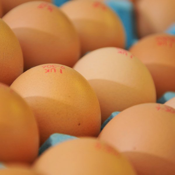 An independent force in egg production | Farmlay Eggs
