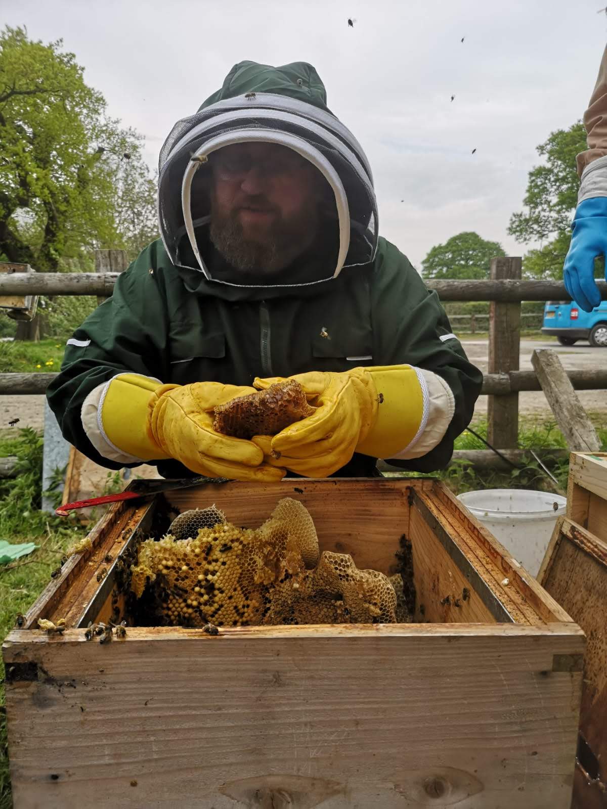 Bee Control Shenley | 07739207333 | Pest Mortem Pest Control