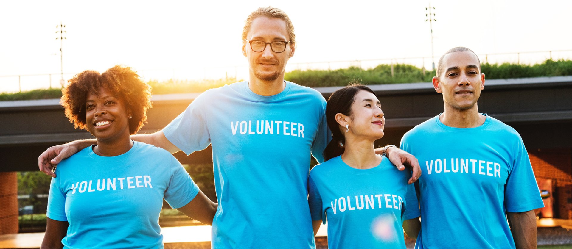 Animated Counter Widget Without Code