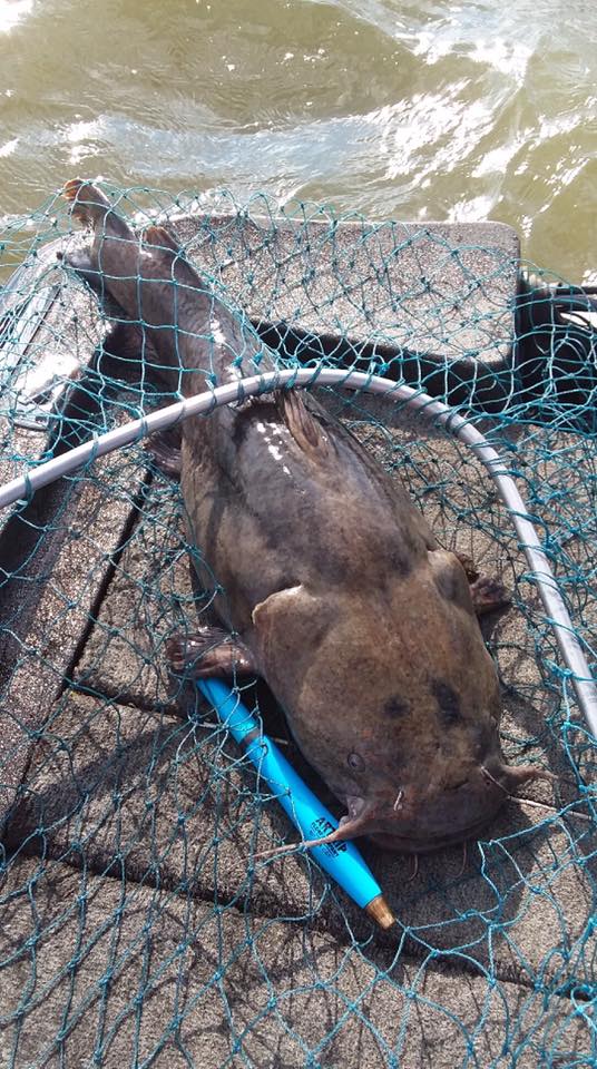 Artrip Float Company