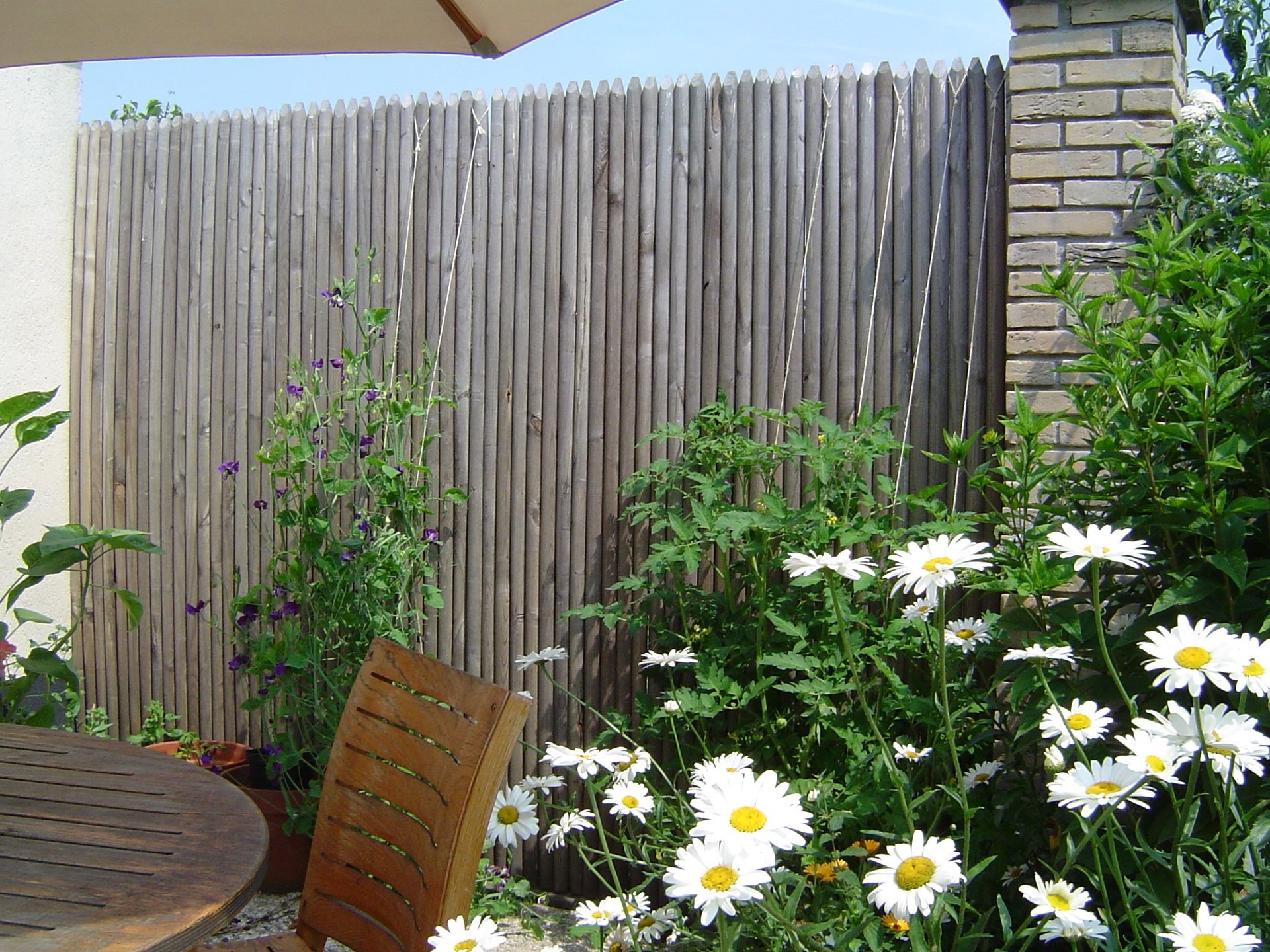 Chestnut wooden palisade | Woods Ambiance