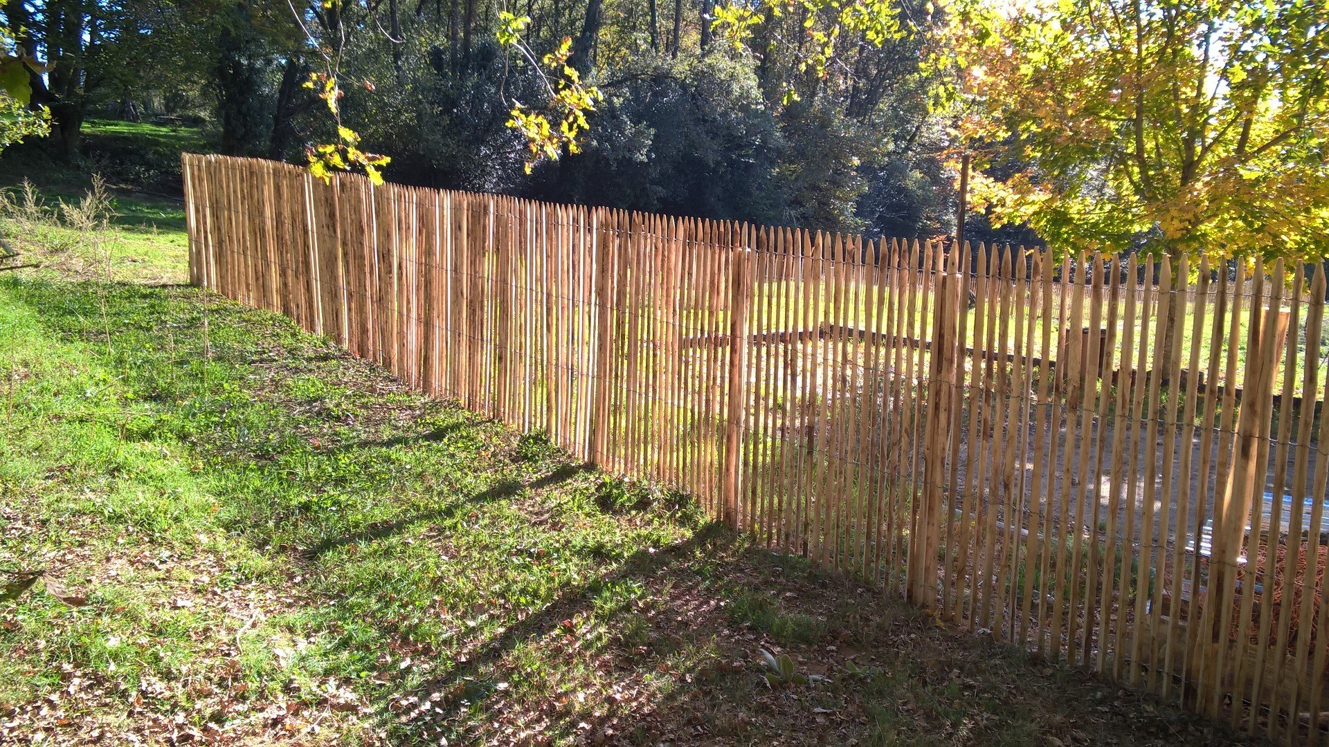 Clôture bois du Châtaignier | Woods Ambiance