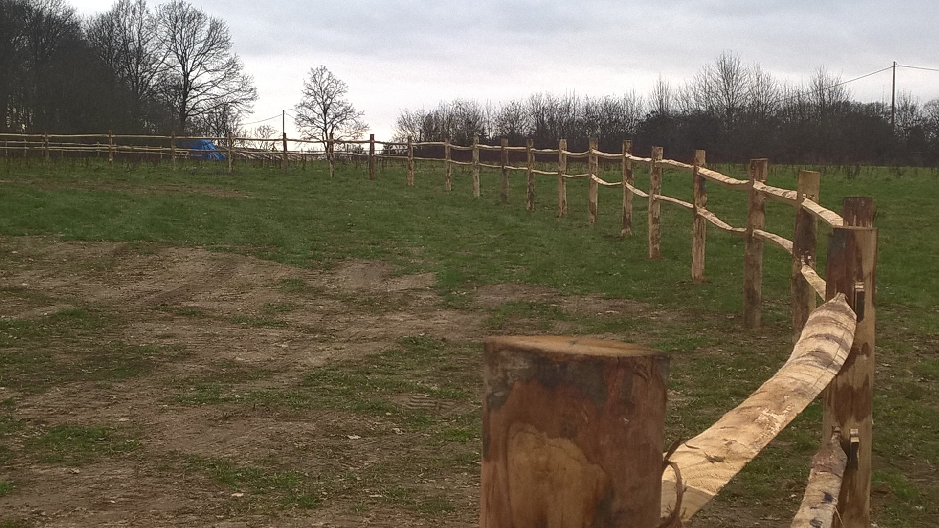 Clôture bois du Châtaignier | Woods Ambiance