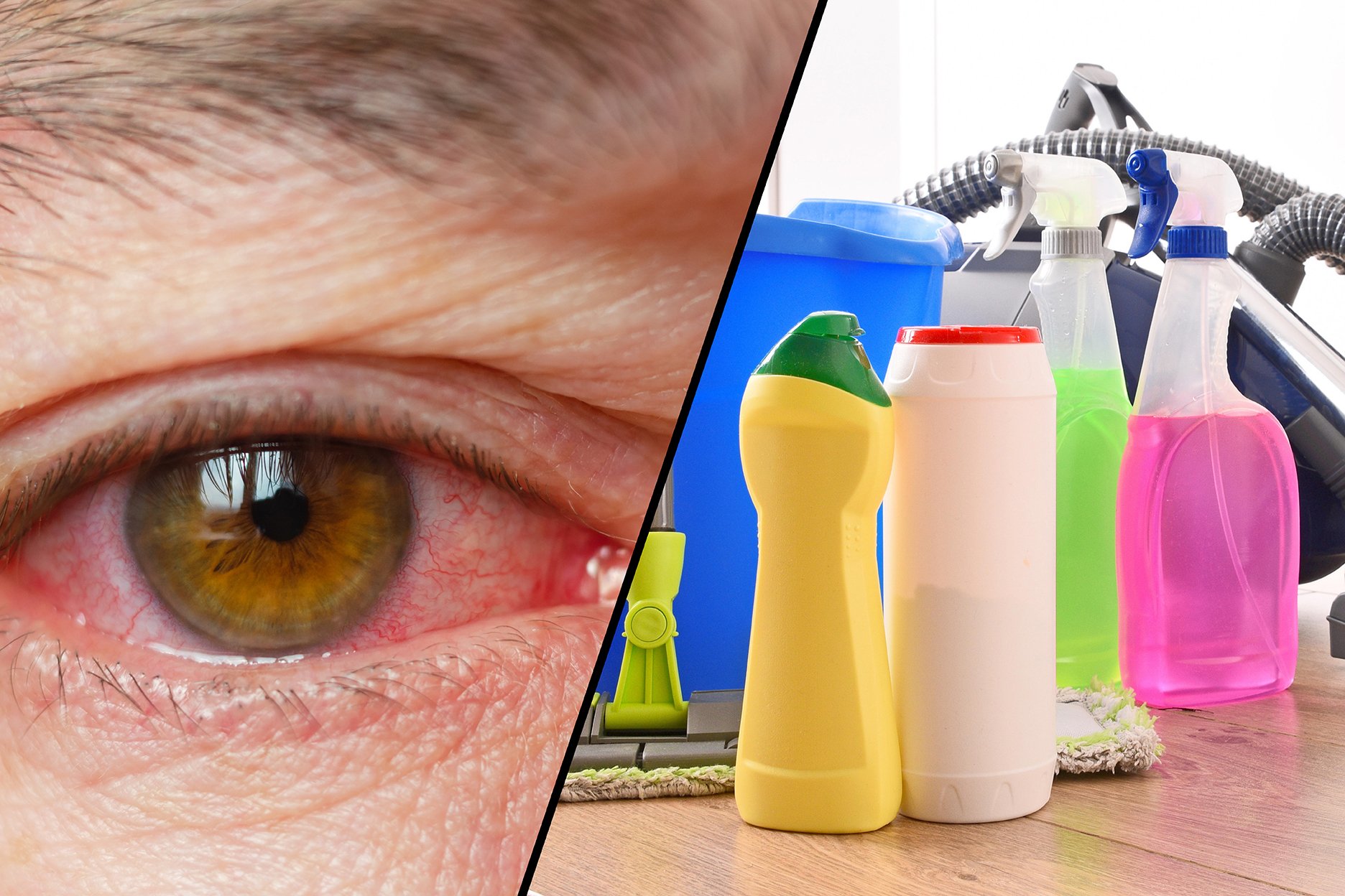 Why Use Botanical Products In Cleaning Methods?