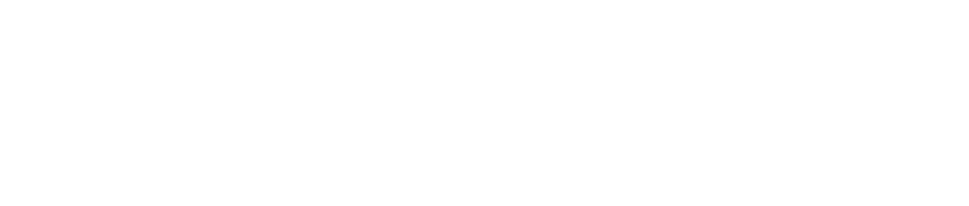 Business Lawyer | Koch Law, P.C. | Cheyenne, WY