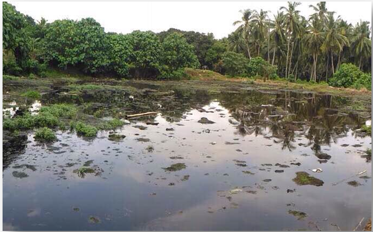 Piggery and Poultry Farms
