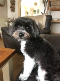 Gallery page for The New Inn at Send pub