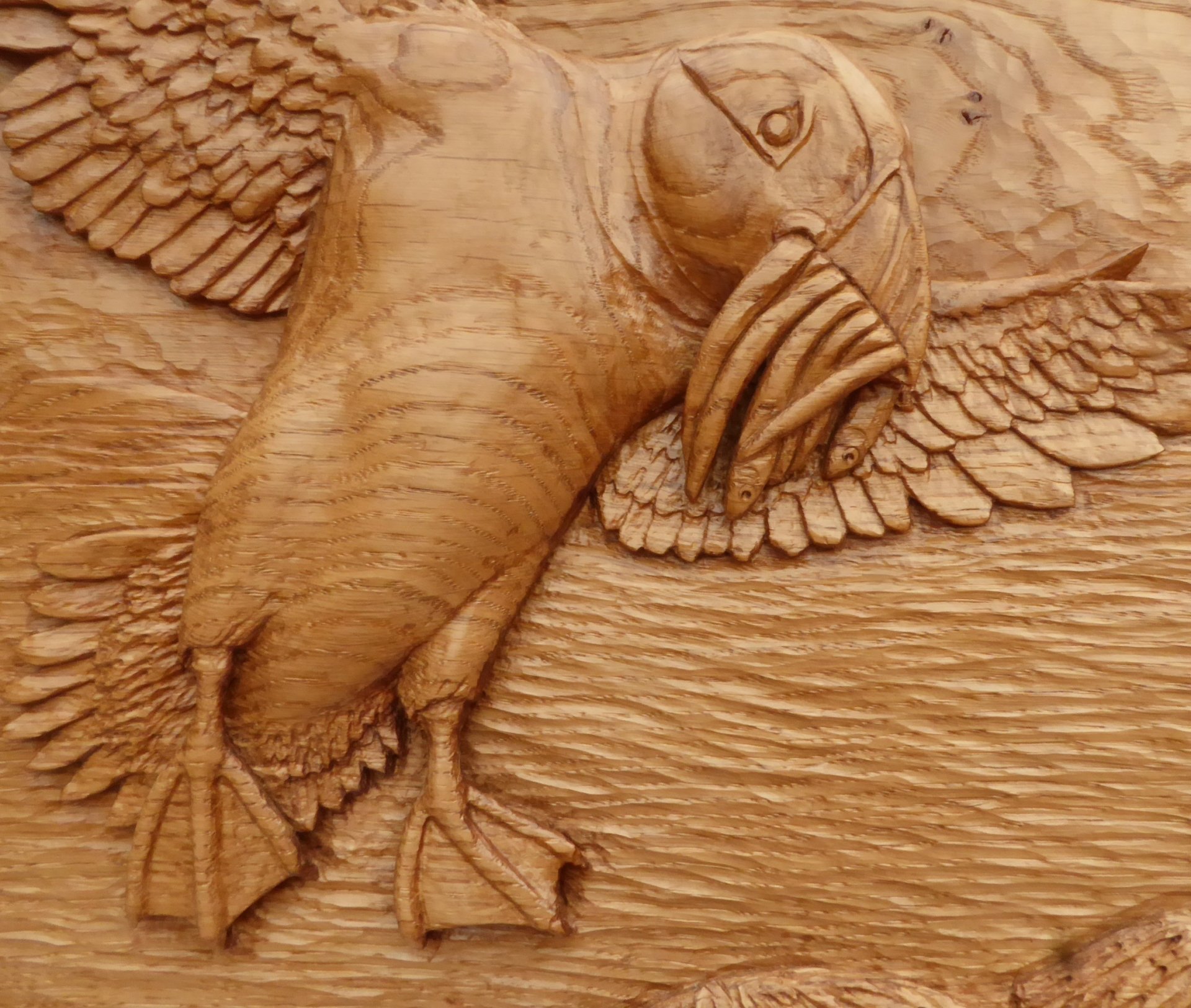 HOME [www.davidrobinsondesign.com]