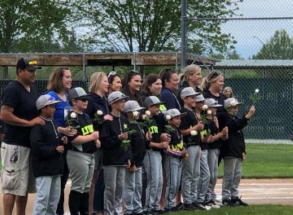 Pictures | Bellingham, WA | Environmental Pest Control