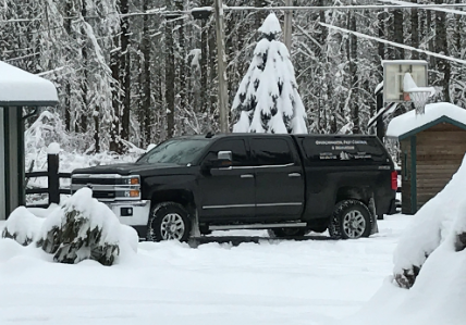 Pictures | Bellingham, WA | Environmental Pest Control