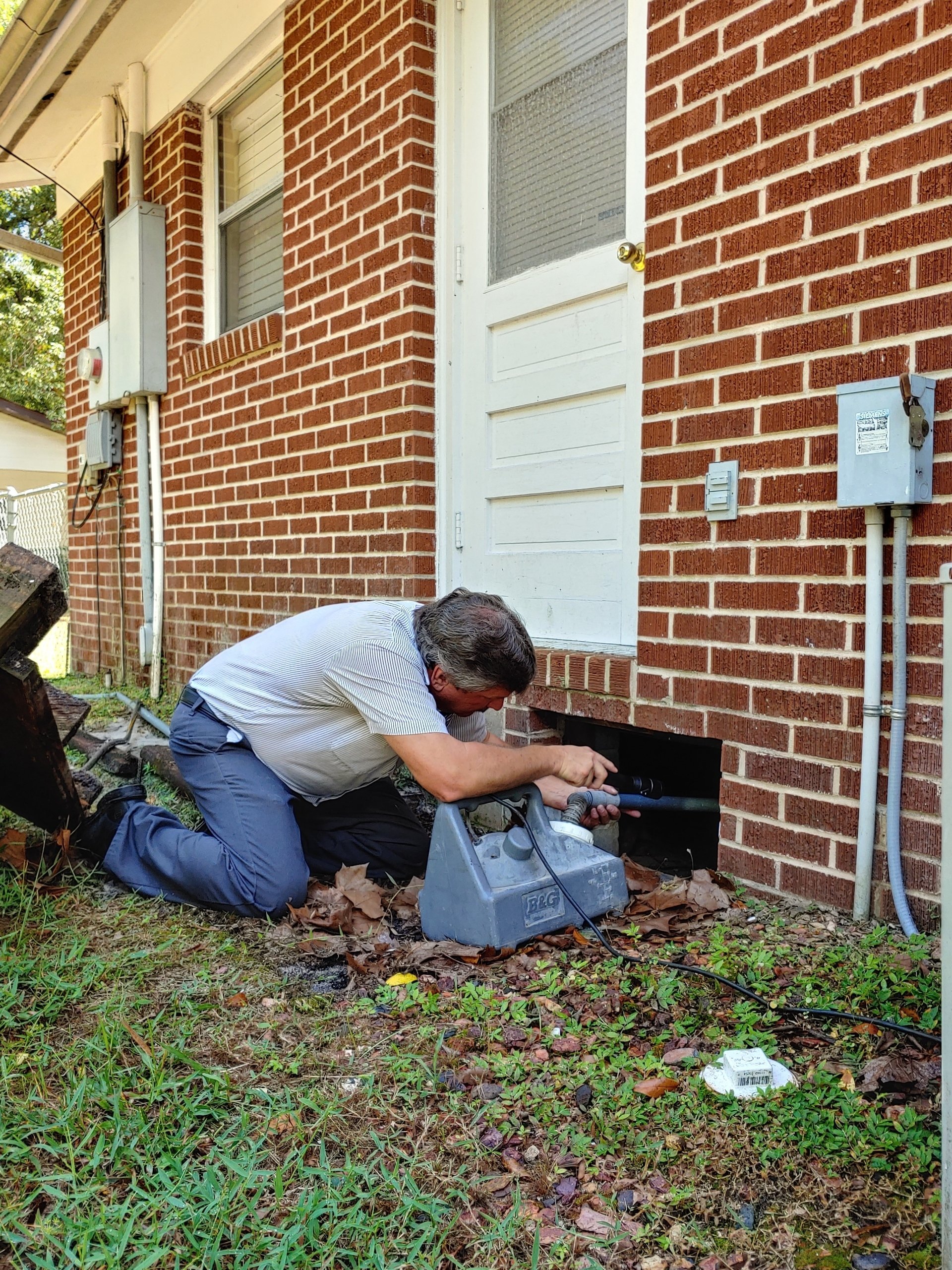 Exterminators | Tavares, FL | Eagle Exterminating Co.