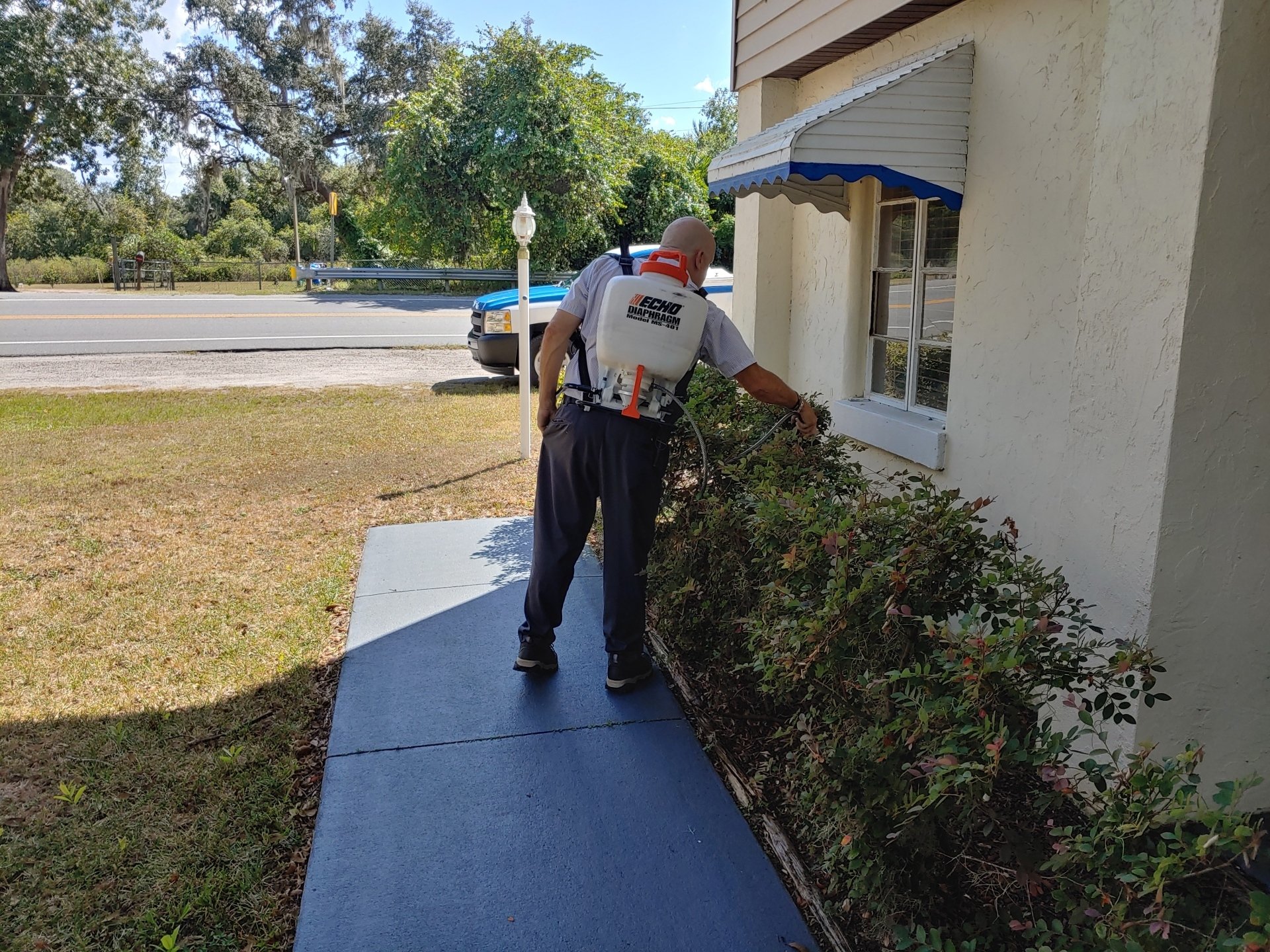 Exterminators | Tavares, FL | Eagle Exterminating Co.