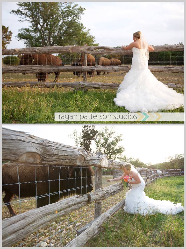 Twisted Ranch Weddings | Austin, TX