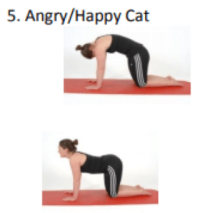 Thoracic and Lumbar Spine Range of Movement Exercises