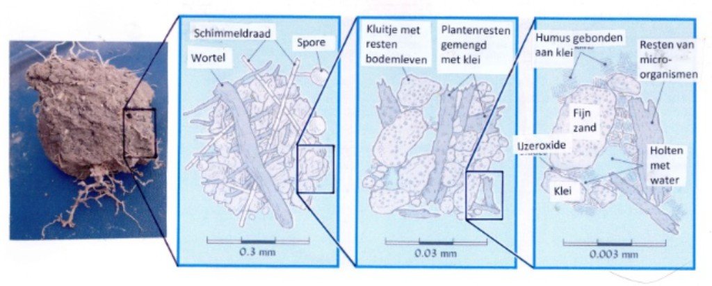 Bodemstructuur