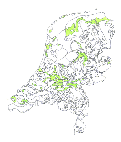 grasland op klei