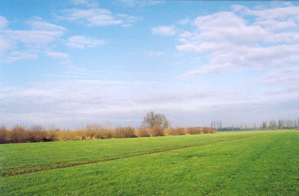 grasland op klei