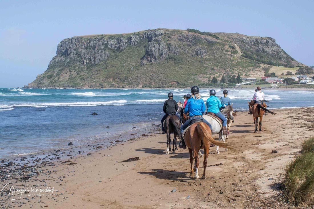 Australian Horse Adventures