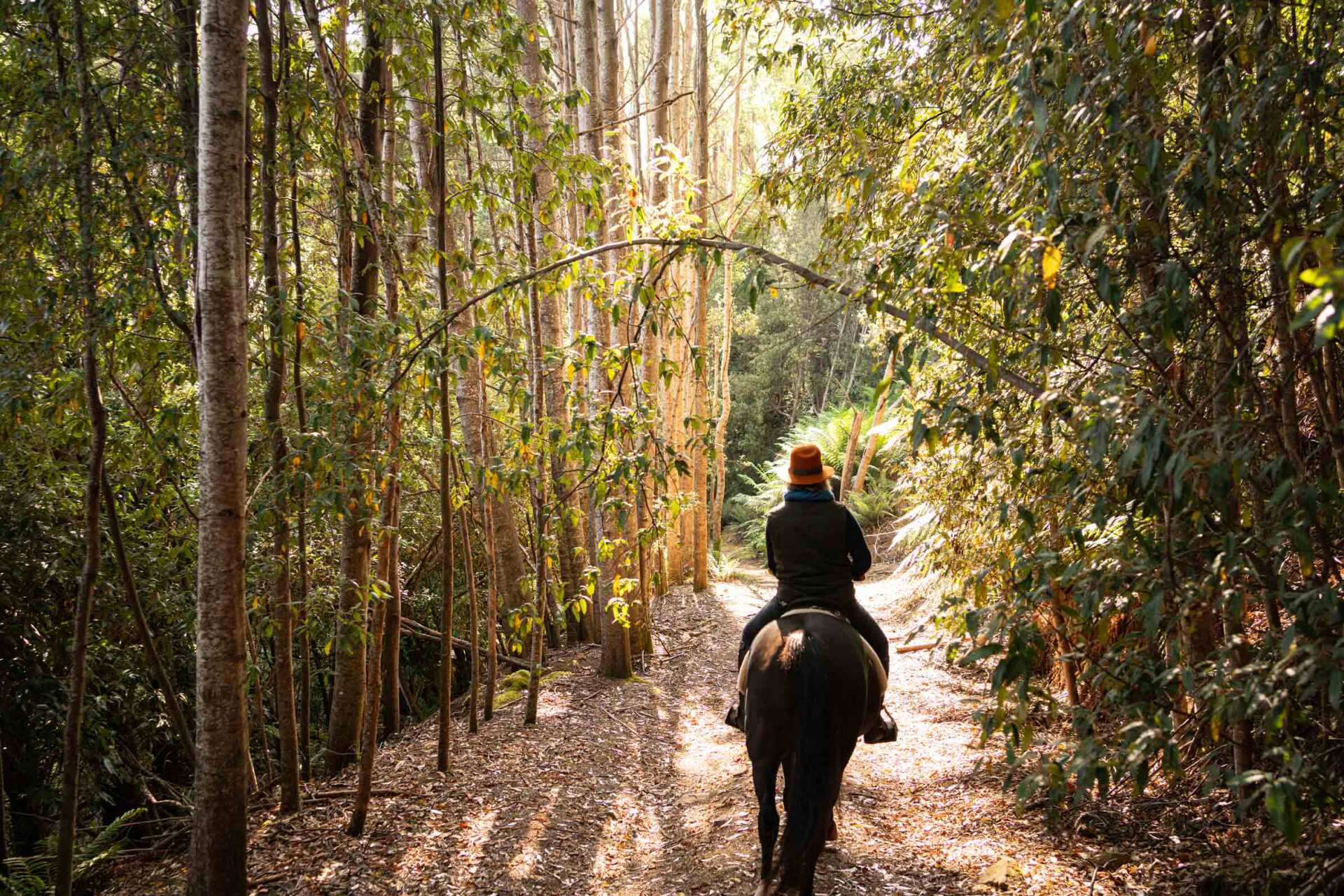 Australian Horse Adventures