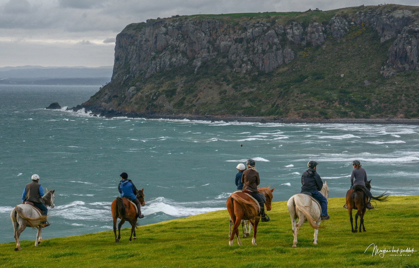 Australian Horse Adventures